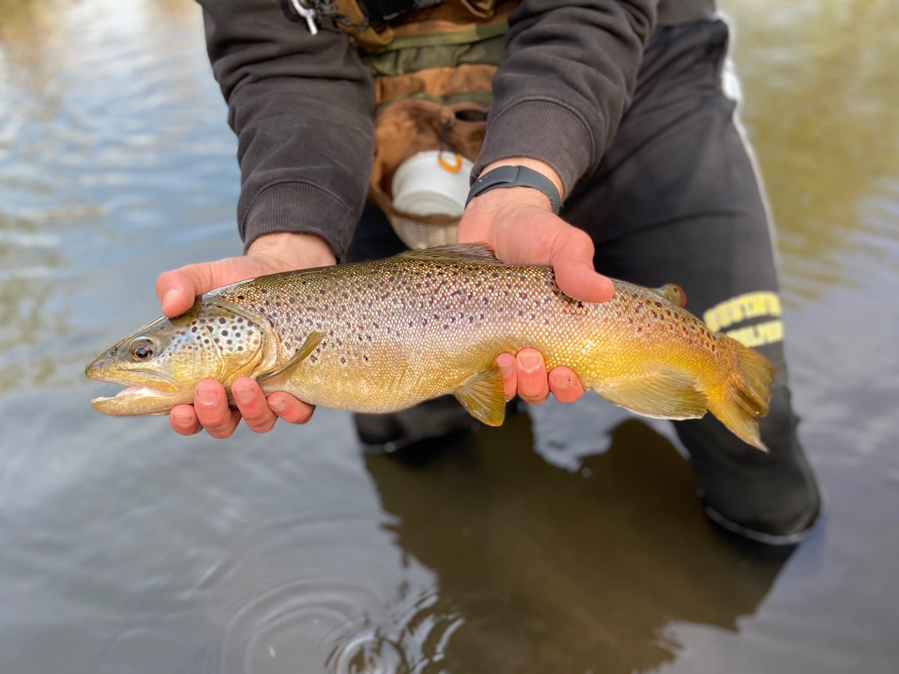 Troutchaser's Guide to the Driftless Area - buy the book here!
